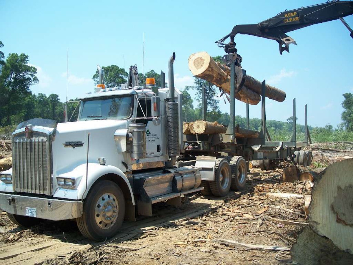 swamp logging