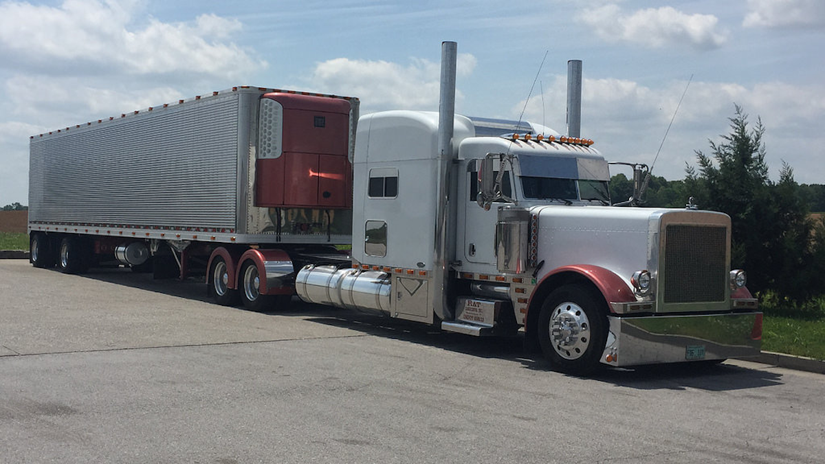 Rat carriers | Overdrive