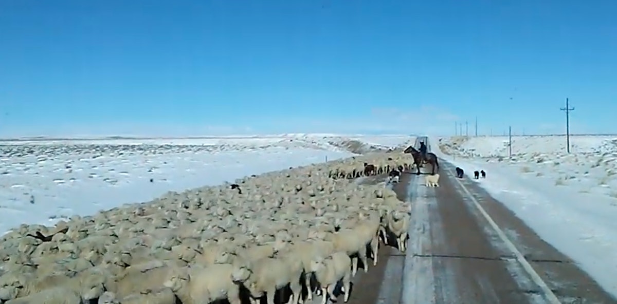 Don Christner presents ‘Open range trucking in Wyoming’ | Overdrive