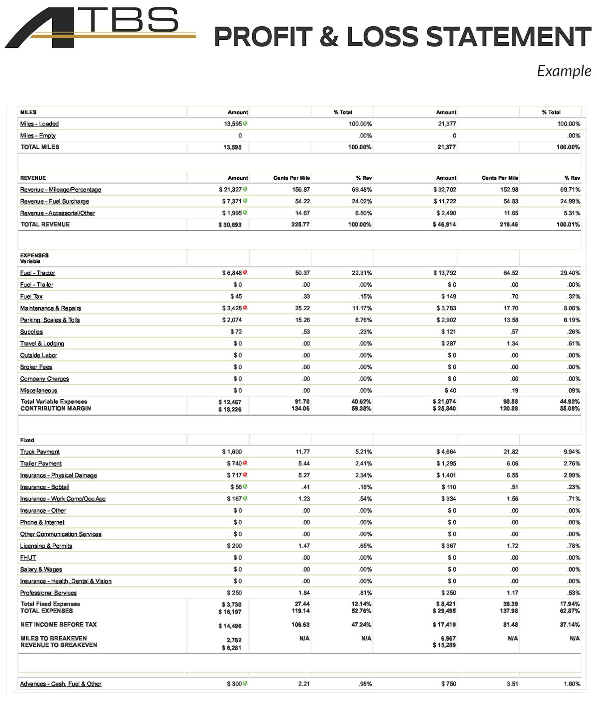 profit loss statement example